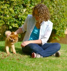 About Animal Babel – ANIMAL BABEL